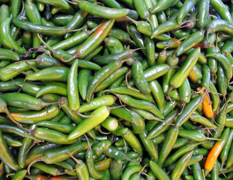 ¡Por las nubes el precio del chile serrano! | NVI Istmo