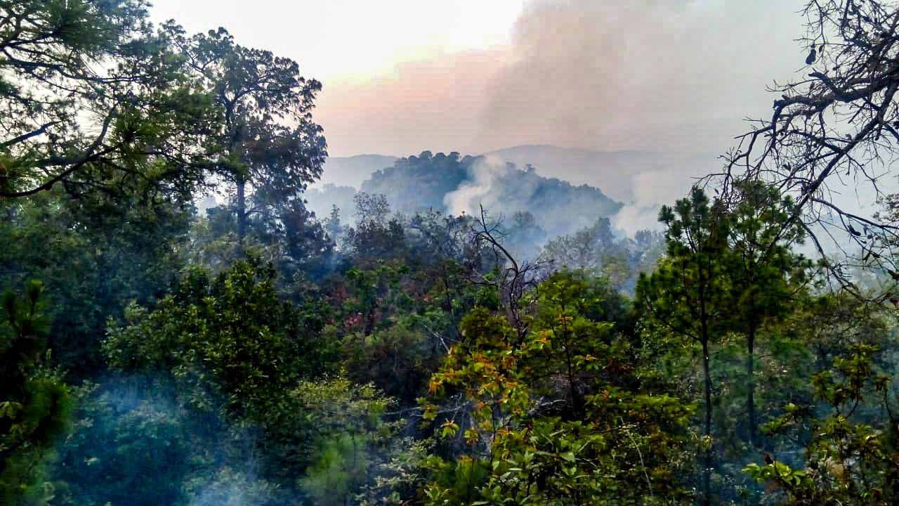 Chimalapas, zona de desastre | NVI Istmo